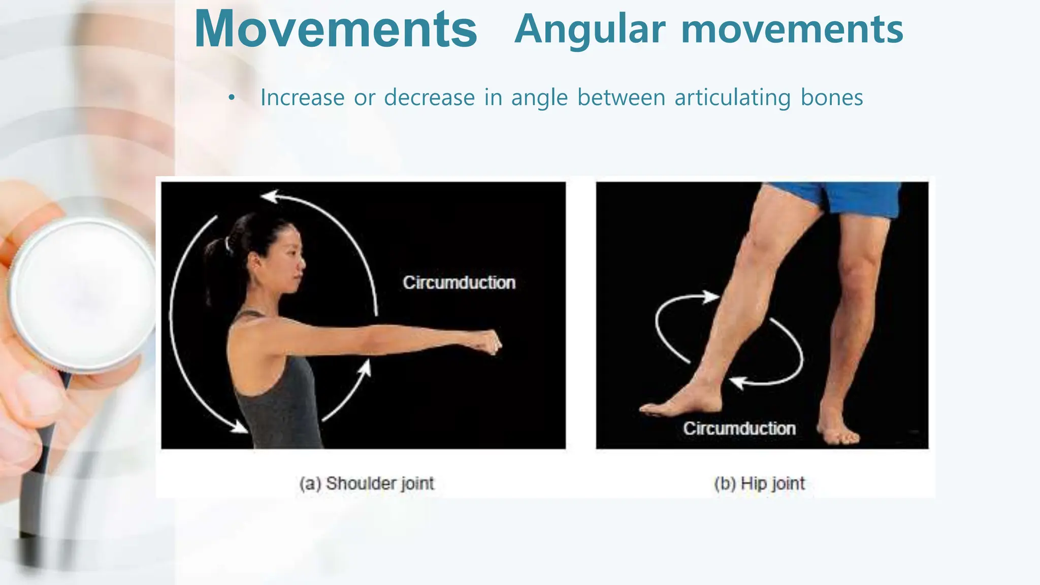 Joints & movements.pptx