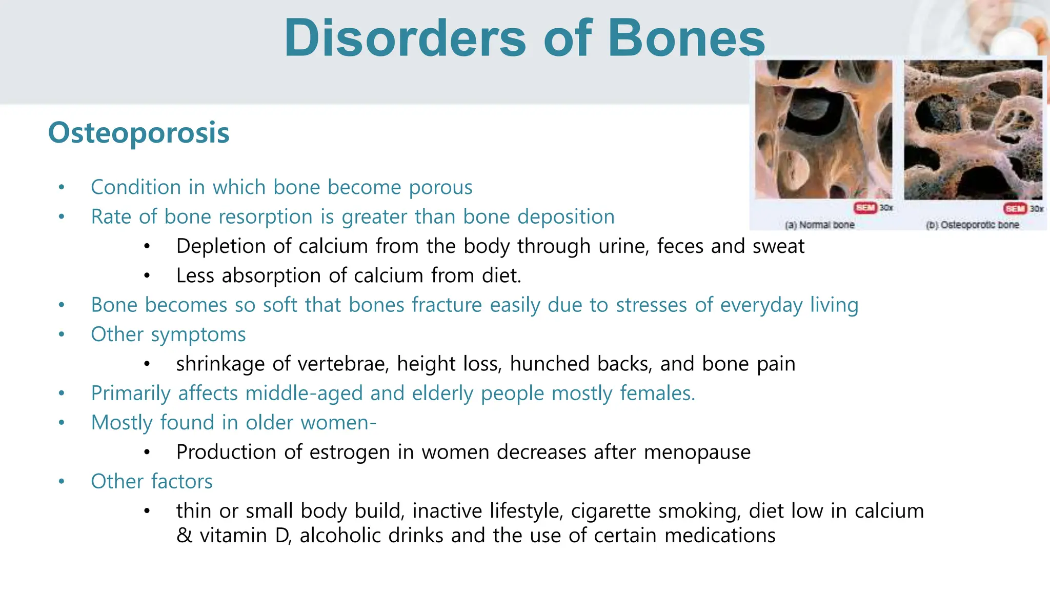Joints & movements.pptx