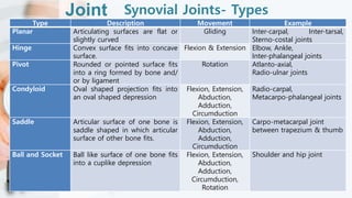 Joints & movements.pptx