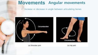 Joints & movements.pptx