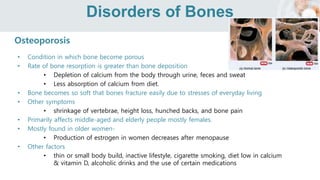 Joints & movements.pptx