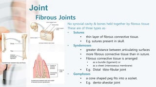 Joints & movements.pptx