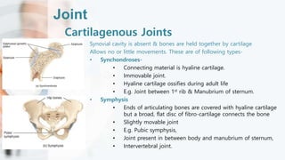 Joints & movements.pptx
