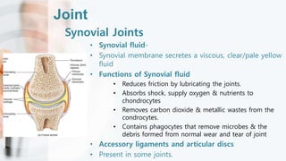 Joints & movements.pptx