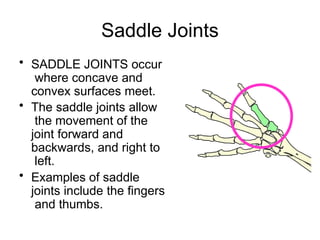 Joints Movements .pptxnnnnnnnnnnnnnnnnnnnnnnn | PPT