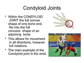 Joints Movements .pptxnnnnnnnnnnnnnnnnnnnnnnn | PPT