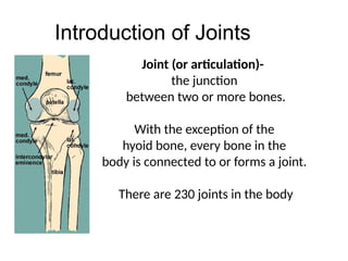 Joints Movements .pptxnnnnnnnnnnnnnnnnnnnnnnn | PPTX