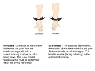 Joints Movements .pptxnnnnnnnnnnnnnnnnnnnnnnn | PPT