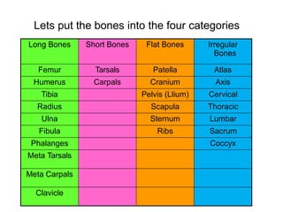Joints Movements .pptxnnnnnnnnnnnnnnnnnnnnnnn | PPT