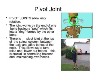 Joints Movements .pptxnnnnnnnnnnnnnnnnnnnnnnn | PPT