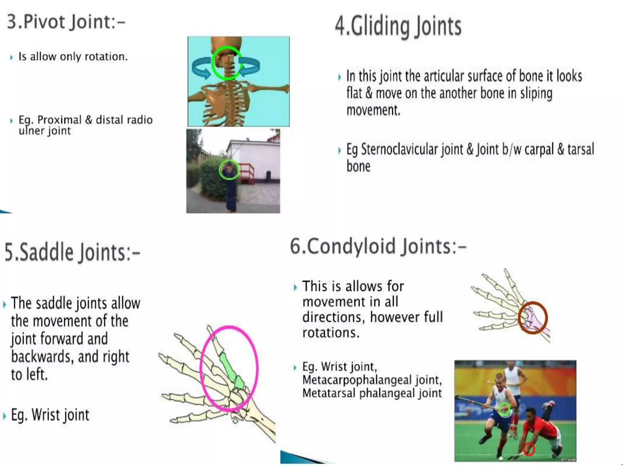 Joints, Movements & Muscles. | PPT