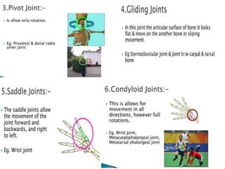 Joints, Movements & Muscles. | PPTX