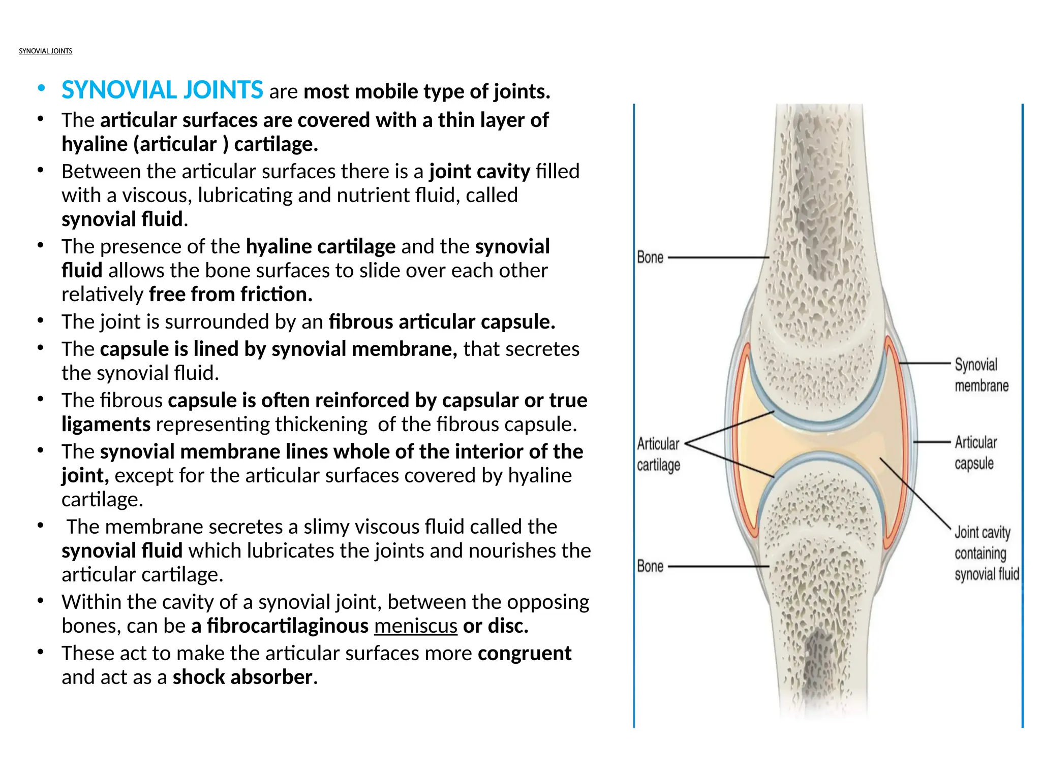 JOINTS and it's types and classification in detail.pptx