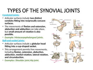 JOINTS and it's types and classification in detail.pptx