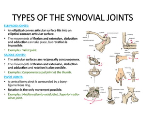 JOINTS and it's types and classification in detail.pptx