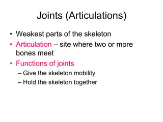 Joints Notes | PPTX