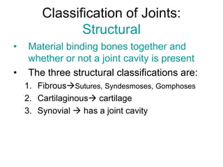 Joints Notes | PPTX