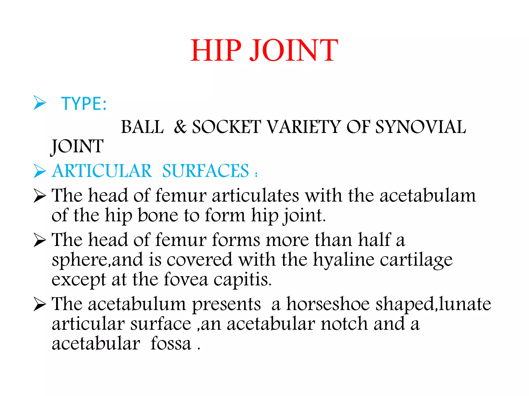 Joints of lower limb | PPTX