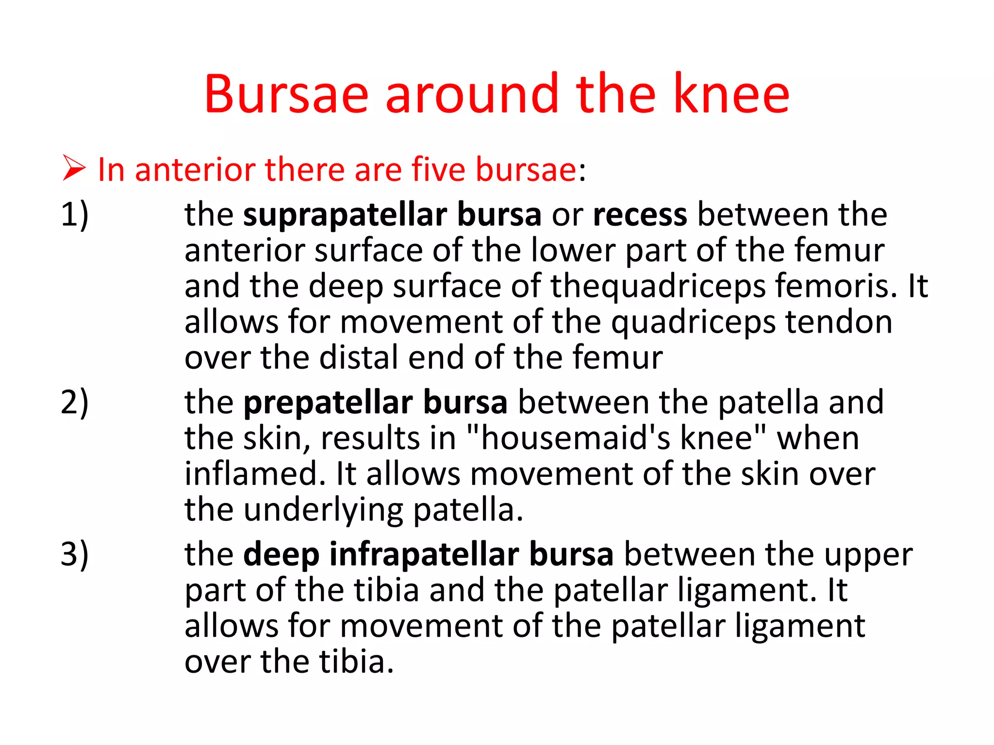 Joints of lower limb | PPTX