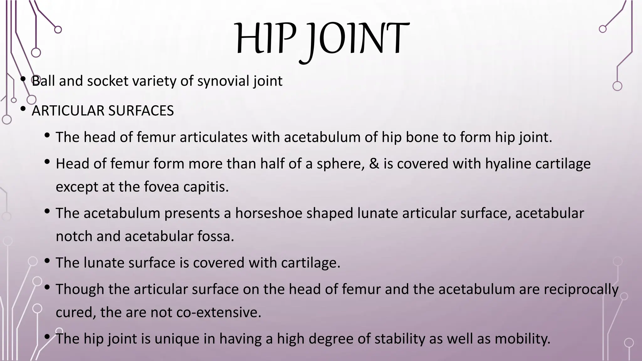 JOINTS OF LOWER LIMB.pptx