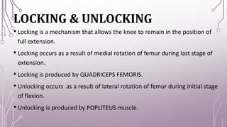 JOINTS OF LOWER LIMB.pptx