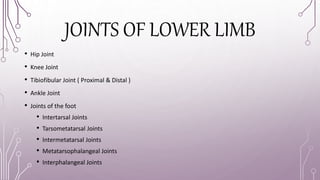 JOINTS OF LOWER LIMB.pptx