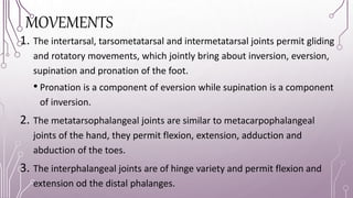 JOINTS OF LOWER LIMB.pptx