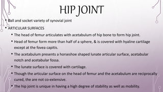 JOINTS OF LOWER LIMB.pptx