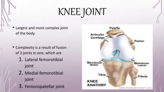 JOINTS OF LOWER LIMB.pptx