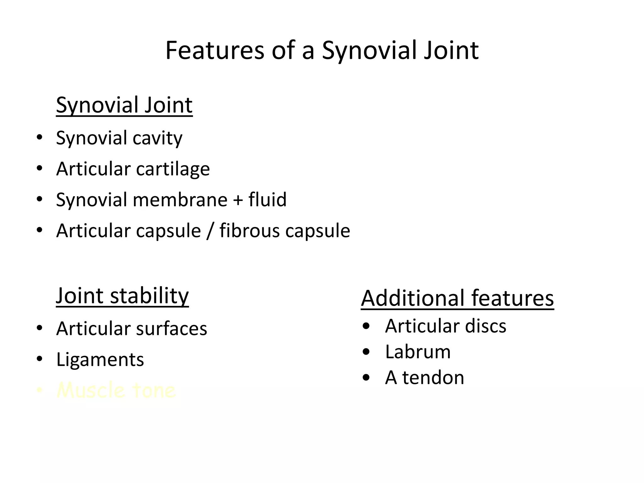 Joints of Lower Limb_ BSC 2013.pptx