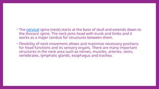Important Joints of neck region and neck.pptx