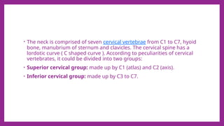 Important Joints of neck region and neck.pptx