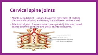 Important Joints of neck region and neck.pptx