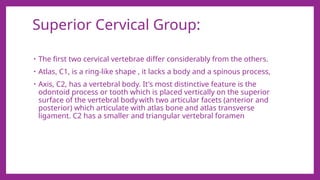 Important Joints of neck region and neck.pptx