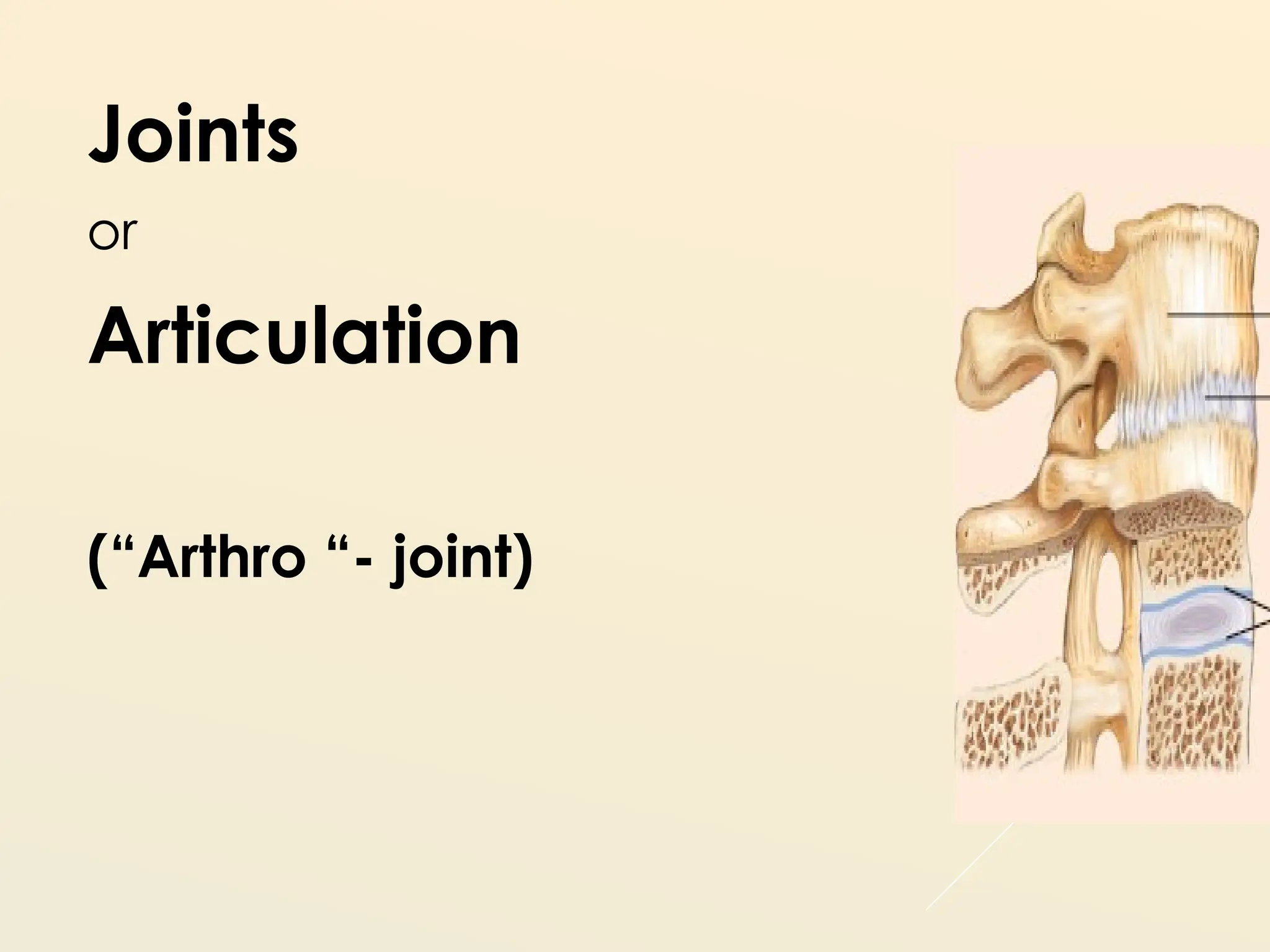 general classi of Joints of the body.pptx