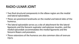 BIOMECHANICS OF JOINTS OF THE ELBOW COMPLEX.pptx
