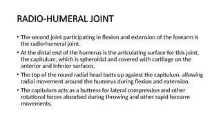 BIOMECHANICS OF JOINTS OF THE ELBOW COMPLEX.pptx