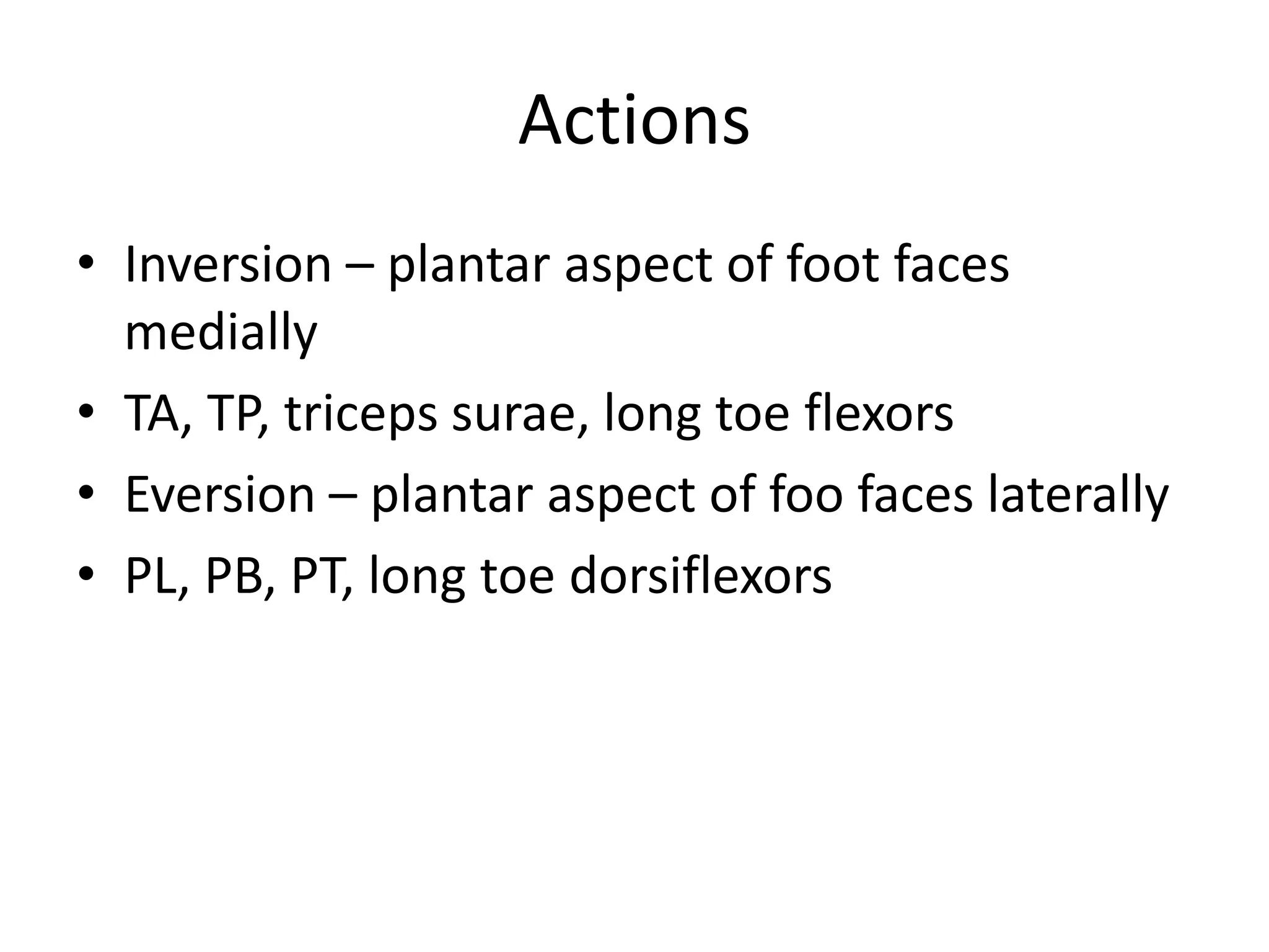Joints of the foot.pptx Gross anatomy of the lower limb | PPT