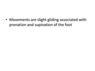 Joints of the foot.pptx Gross anatomy of the lower limb | PPTX