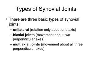 Joints of the human body | PPT