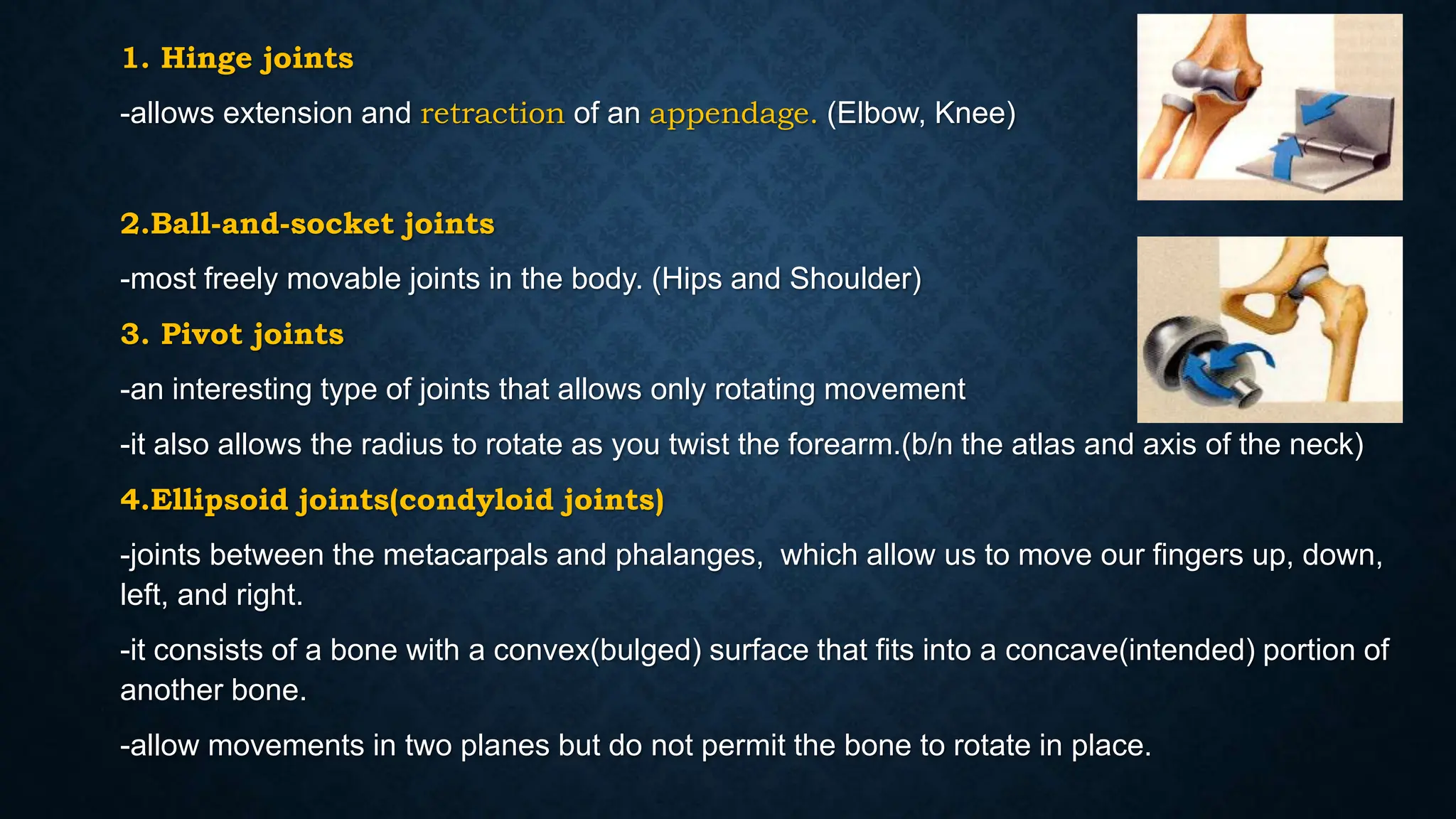 Joints of the skeleton.pptx