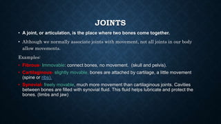 Joints of the skeleton.pptx