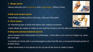 Joints of the skeleton.pptx
