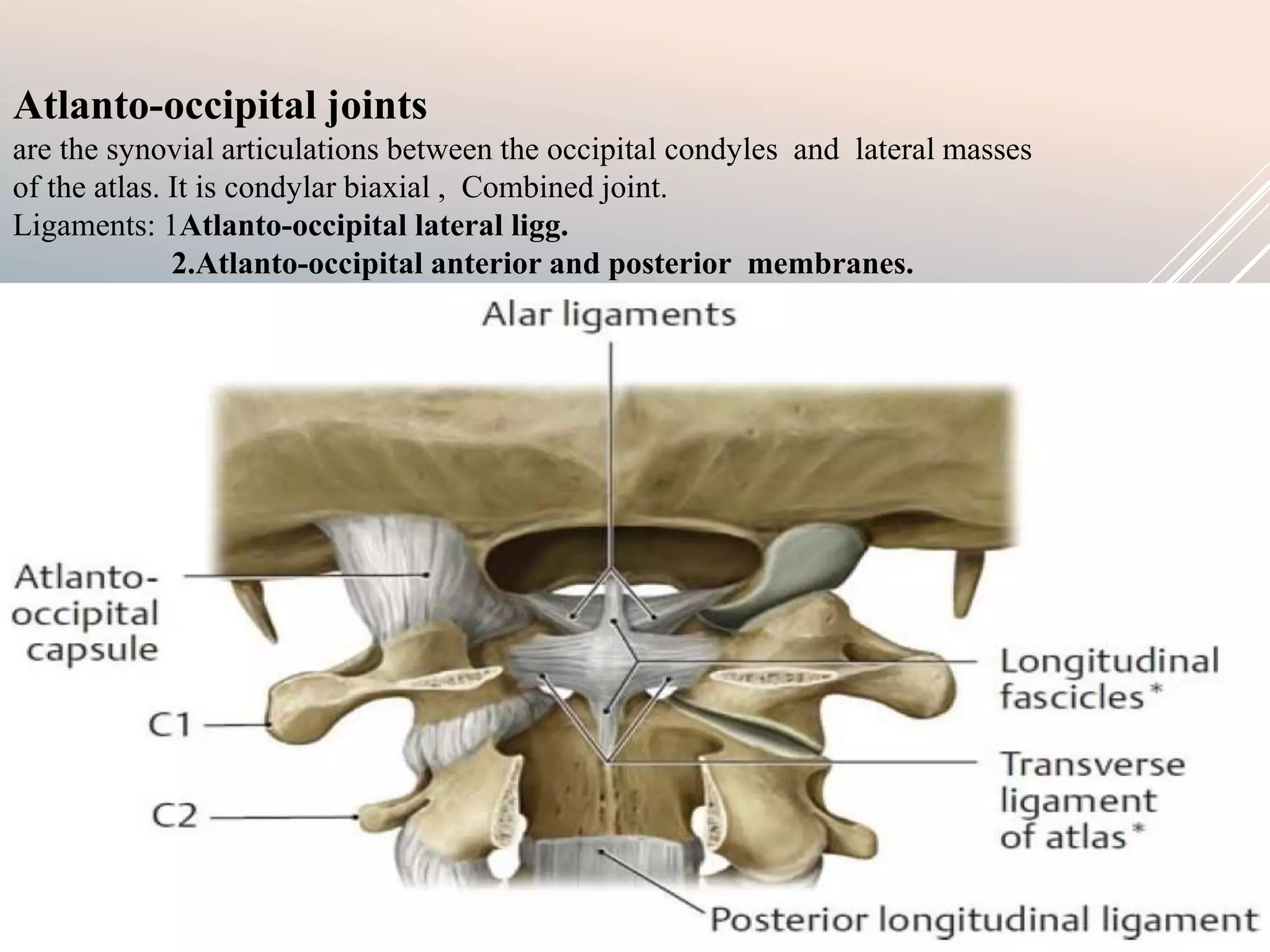 Joints of the SKULL.pptx