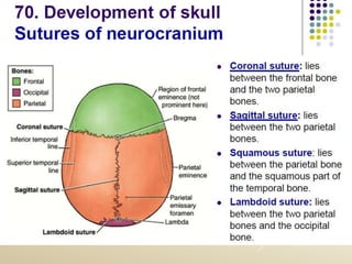 Joints of the SKULL.pptx | Death, Injury, or Military Conflict ...