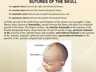 Joints of the SKULL.pptx