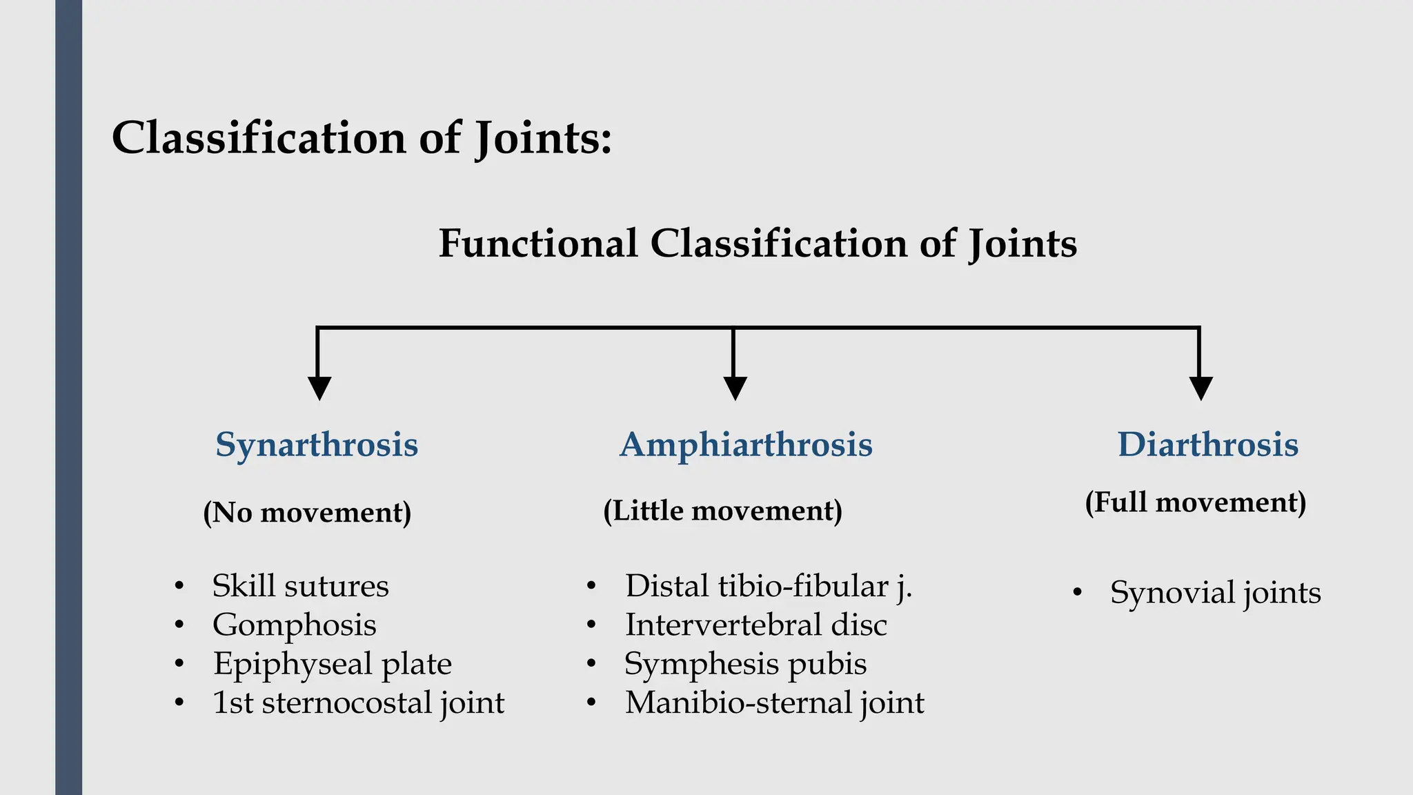 anatomy presentation of the Joints of thorax | PDF