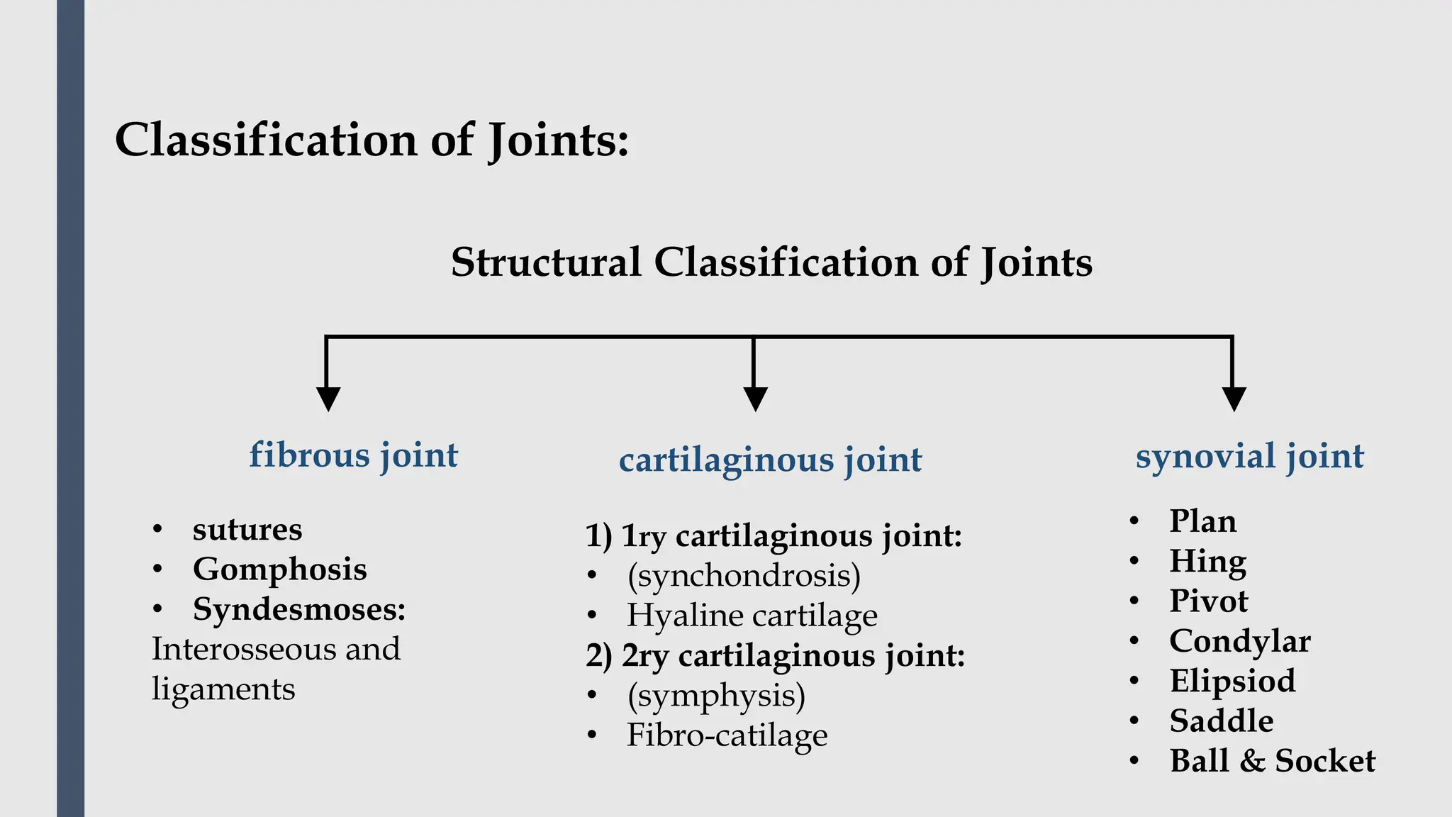 anatomy presentation of the Joints of thorax | PDF