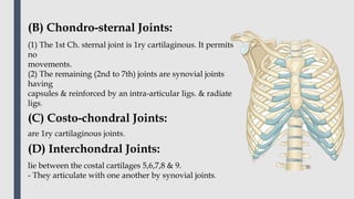 anatomy presentation of the Joints of thorax | PDF