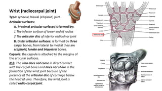 Joints of the upper limb.pdf